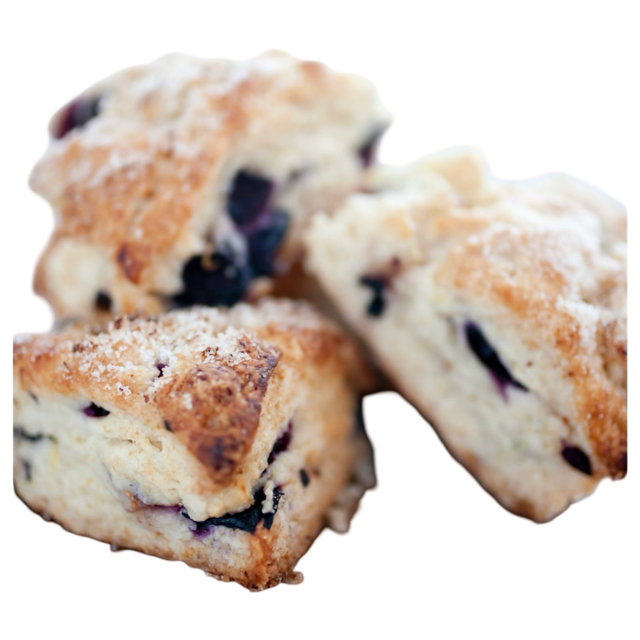 Gluten Free Vegan Bakery Style Blueberry Scones E-Recipe – Coco Luv Cookies